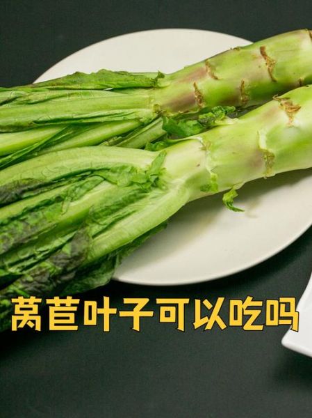 莴笋叶一定要焯水吗_不焯水能吃吗-第2张图片-山城妙识