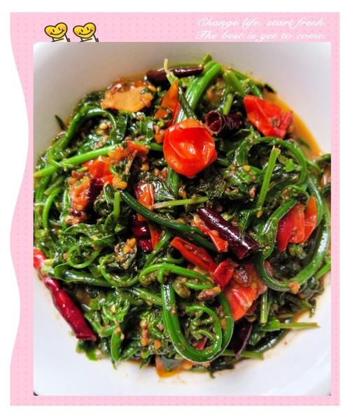 蕨菜怎么炒好吃_蕨菜炒什么最香-第1张图片-山城妙识