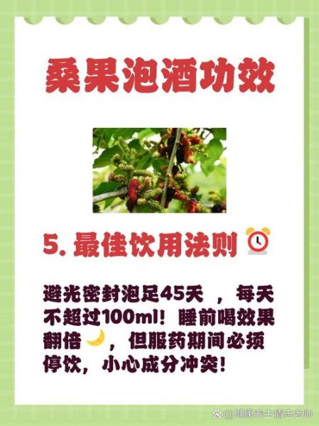 桑葚泡酒多久可以喝_桑葚酒泡多久最佳-第3张图片-山城妙识 桑葚泡酒多久可以喝_桑葚酒泡多久最佳-第3张图片-山城妙识