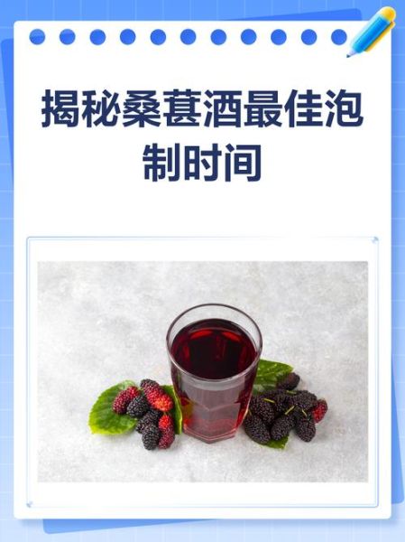 桑葚泡酒多久可以喝_桑葚酒泡多久最佳-第1张图片-山城妙识 桑葚泡酒多久可以喝_桑葚酒泡多久最佳-第1张图片-山城妙识