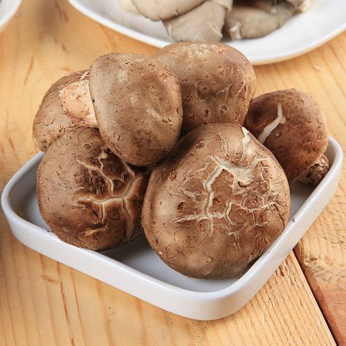 新鲜香菇多少钱一斤_新鲜香菇价格为什么波动大-第3张图片-山城妙识