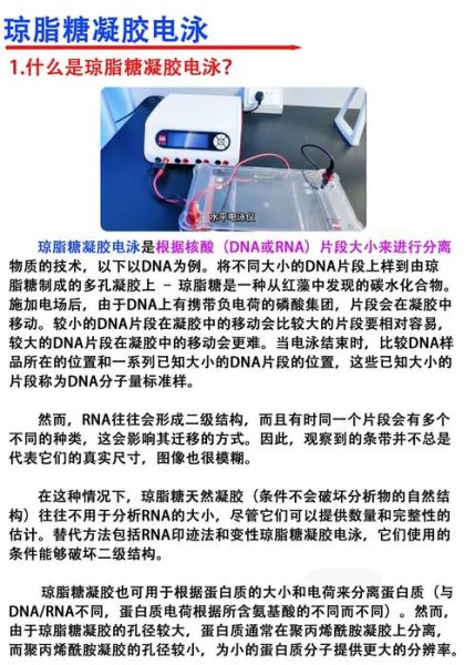 琼脂和琼脂糖的区别_琼脂糖是不是琼脂-第3张图片-山城妙识