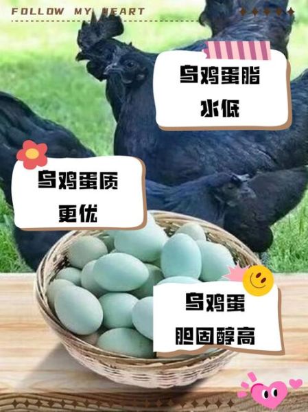 乌鸡蛋和普通鸡蛋的区别_乌鸡蛋营养价值高吗-第1张图片-山城妙识