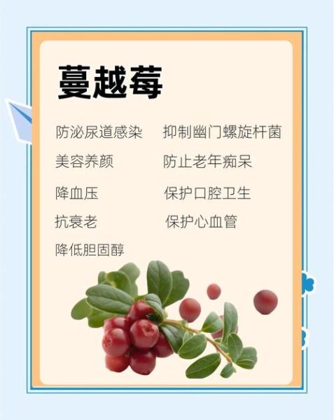 蔓越莓的功效是什么_蔓越莓对女性有什么好处-第1张图片-山城妙识
