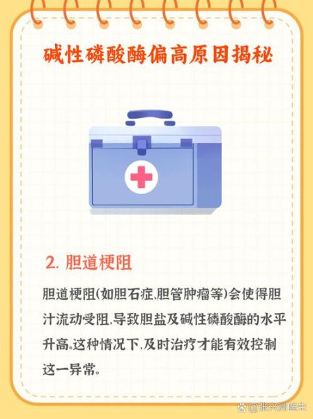 碱性磷酸酶偏高是什么原因_对身体有什么危害-第1张图片-山城妙识