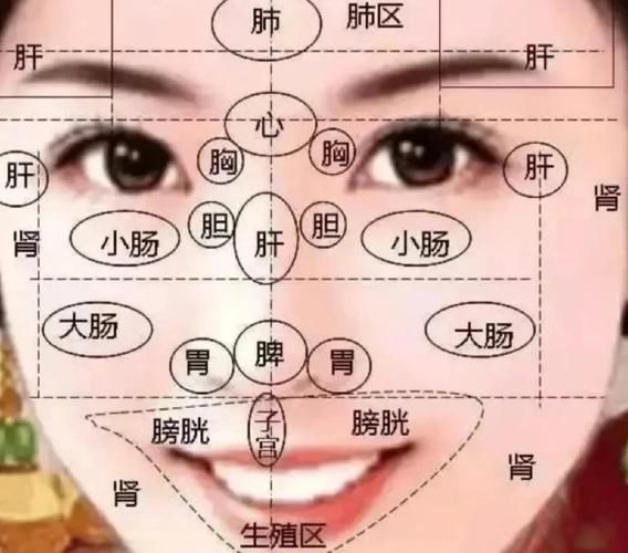 脸上长痘对应五脏示意图_如何调理-第1张图片-山城妙识 脸上长痘对应五脏示意图_如何调理-第1张图片-山城妙识