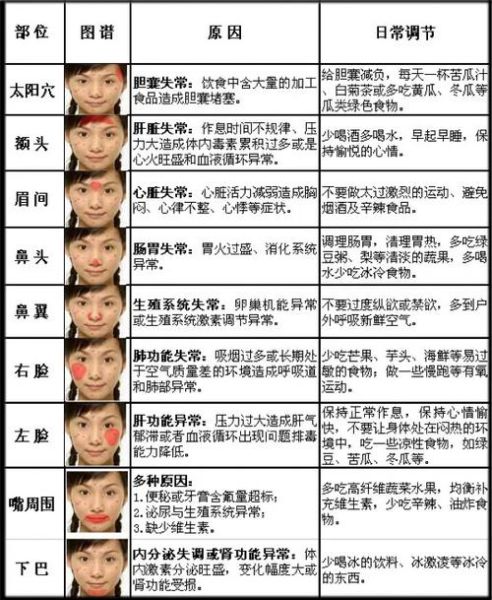 脸上长痘对应五脏示意图_如何调理-第3张图片-山城妙识 脸上长痘对应五脏示意图_如何调理-第3张图片-山城妙识