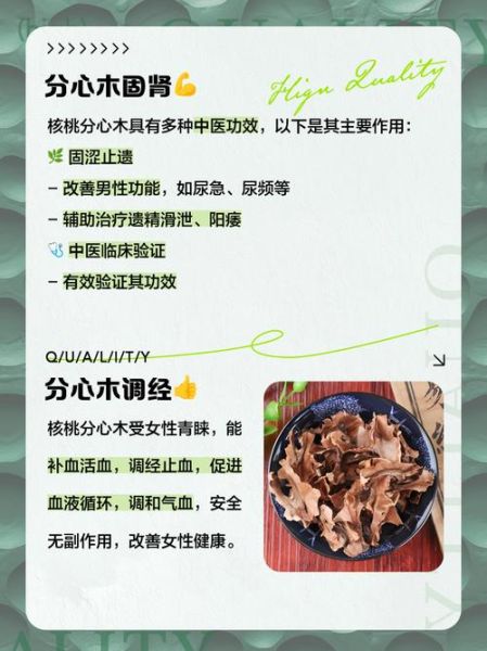 分心木泡水喝的副作用_分心木泡水禁忌人群-第3张图片-山城妙识 分心木泡水喝的副作用_分心木泡水禁忌人群-第3张图片-山城妙识