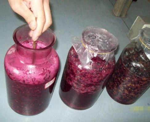 白葡萄酒的做法_自酿全过程-第2张图片-山城妙识