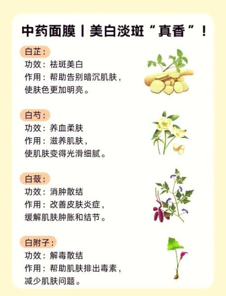 美白祛斑中药面膜配方_怎么自制-第2张图片-山城妙识
