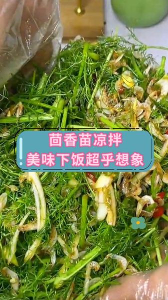 茴香苗怎么做好吃_茴香苗的吃法有哪些-第2张图片-山城妙识