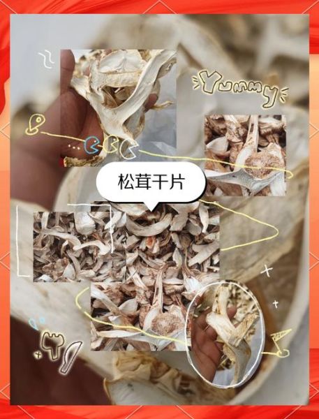 干松茸要泡多久_干松茸泡发正确方法-第1张图片-山城妙识