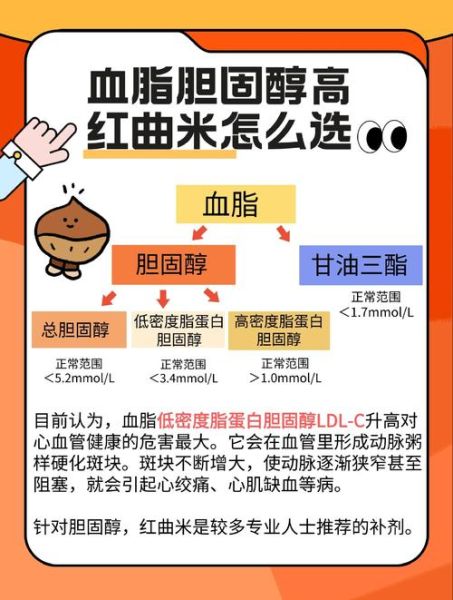 红曲米严重副作用有哪些_如何避免-第3张图片-山城妙识