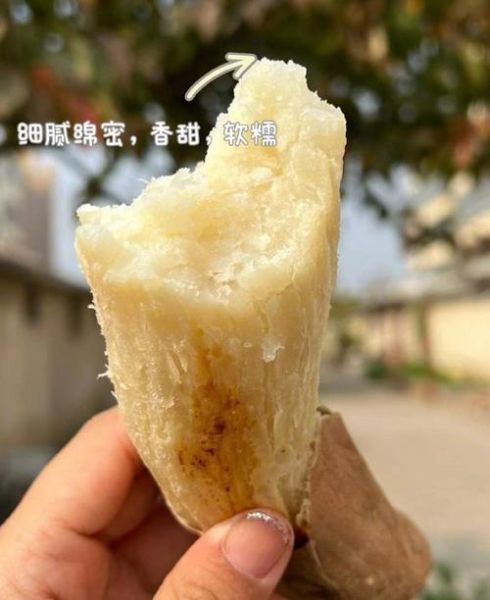 白薯怎么吃_白薯可以蒸着吃吗-第3张图片-山城妙识