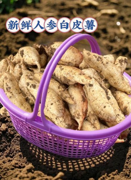 白薯怎么吃_白薯可以蒸着吃吗-第2张图片-山城妙识