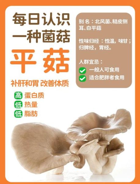 平菇不能和什么一起吃_平菇的禁忌人群有哪些-第1张图片-山城妙识