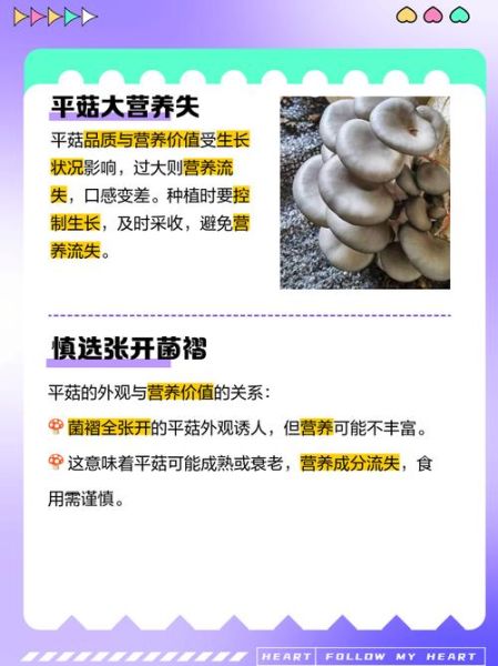 平菇不能和什么一起吃_平菇的禁忌人群有哪些-第2张图片-山城妙识