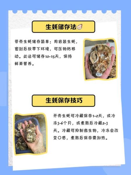 生蚝怎么保存时间最久_生蚝放冷藏还是冷冻-第1张图片-山城妙识