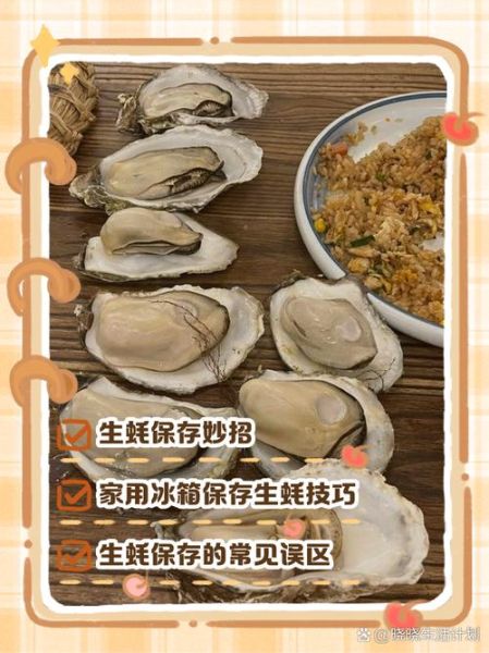 生蚝怎么保存时间最久_生蚝放冷藏还是冷冻-第3张图片-山城妙识
