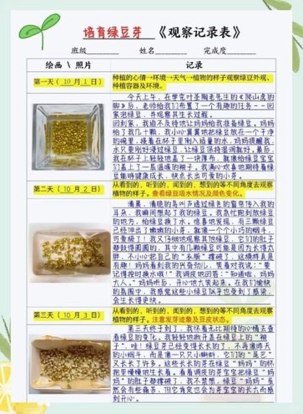 绿豆芽怎么种_绿豆芽生长过程-第1张图片-山城妙识