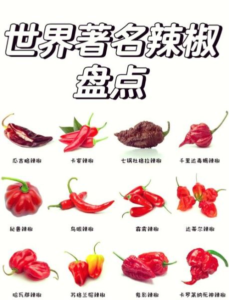 世界上最辣的辣椒排名_吃辣椒会死吗-第1张图片-山城妙识