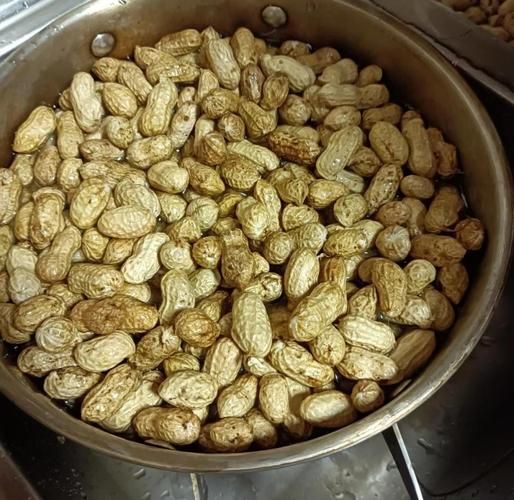 新鲜带壳花生怎么煮_水煮花生多久才入味-第2张图片-山城妙识