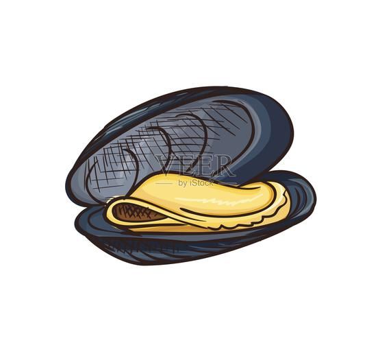 河蚌卡通图片怎么画_河蚌简笔画教程-第1张图片-山城妙识