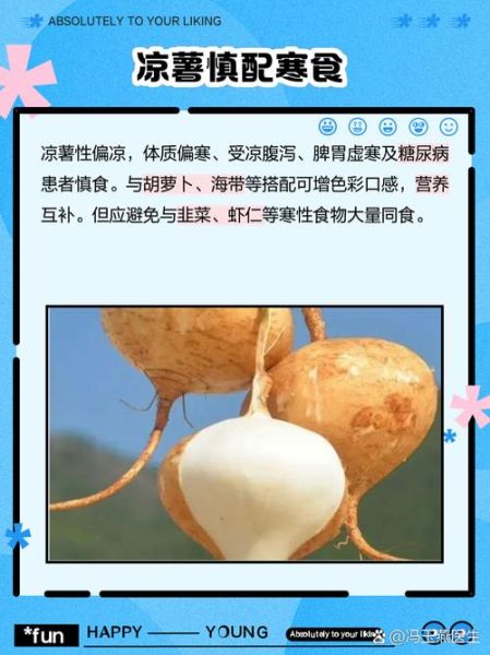凉薯不能和什么一起吃_凉薯吃多了有什么副作用-第2张图片-山城妙识