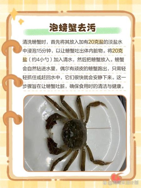 螃蟹怎么清洗_清洗螃蟹的正确步骤-第3张图片-山城妙识