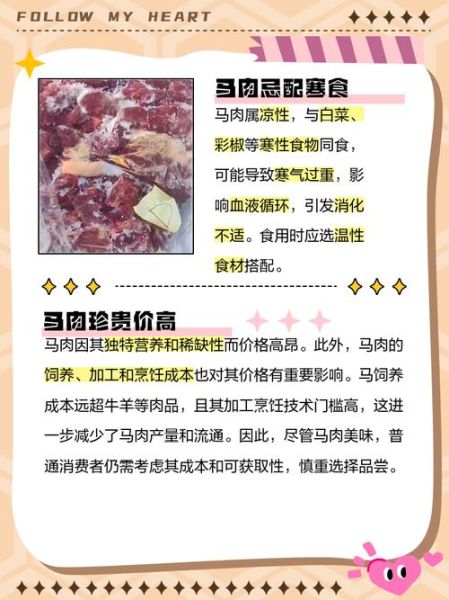 为什么马肉很少人吃_马肉禁忌有哪些-第1张图片-山城妙识