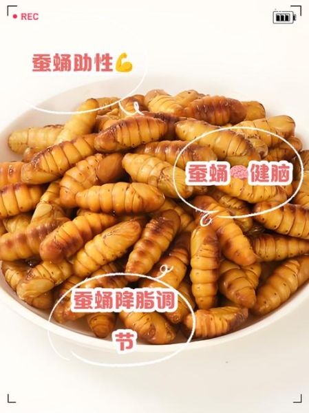 一天吃几个蚕蛹最好_蚕蛹一天吃多少合适-第3张图片-山城妙识 一天吃几个蚕蛹最好_蚕蛹一天吃多少合适-第3张图片-山城妙识