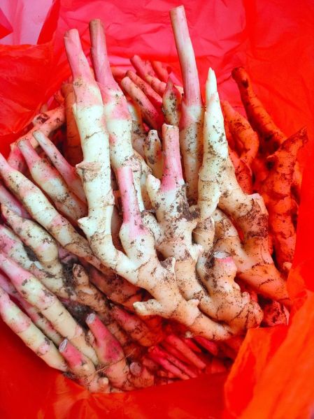 腌姜芽怎么做_腌姜芽的正确做法-第3张图片-山城妙识 腌姜芽怎么做_腌姜芽的正确做法-第3张图片-山城妙识