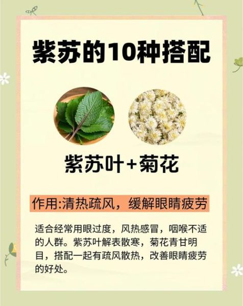 紫苏吃了有什么好处_紫苏叶的功效与作用-第1张图片-山城妙识