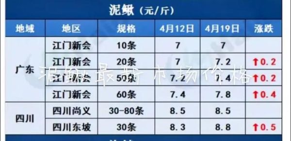 泥鳅市场价多少钱一斤_泥鳅价格行情2024-第1张图片-山城妙识