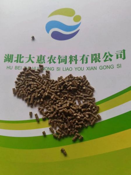 田螺吃什么饲料_田螺养殖技术-第1张图片-山城妙识