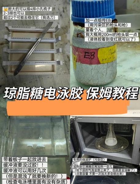 琼脂块怎么做_琼脂块凝固失败怎么办-第3张图片-山城妙识