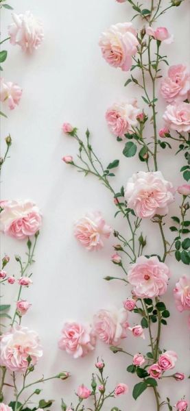 小清新壁纸哪里找_如何挑选不撞款-第2张图片-山城妙识