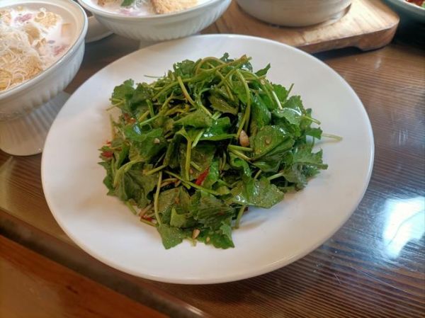 山野菜有哪些种类_常见山野菜怎么吃-第1张图片-山城妙识 山野菜有哪些种类_常见山野菜怎么吃-第1张图片-山城妙识