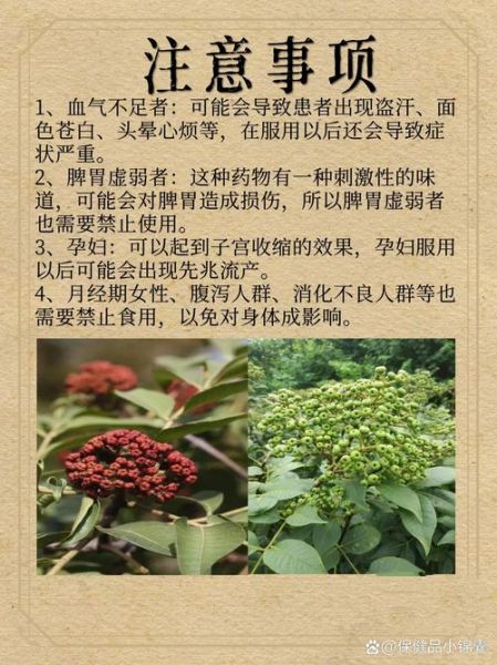 吴茱萸的功效与作用_吴茱萸能治疗哪些疾病-第1张图片-山城妙识