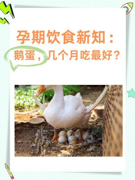 孕妇吃鹅蛋多久吃一个_孕妇吃鹅蛋的最佳频率-第1张图片-山城妙识