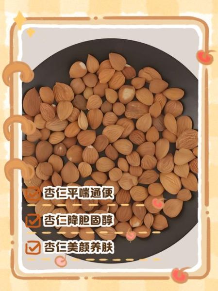 杏仁的功效与作用_杏仁怎么吃最营养-第3张图片-山城妙识