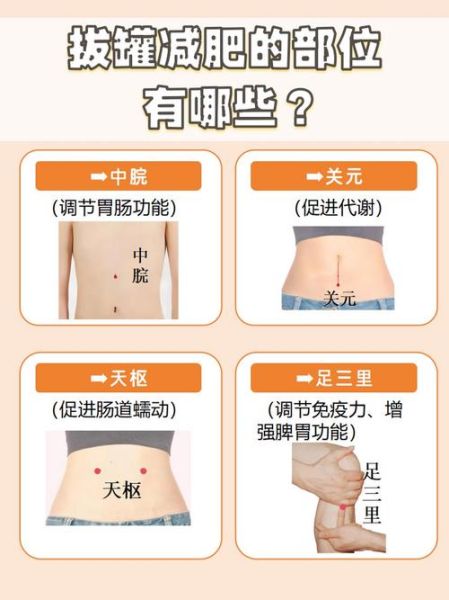 减肥好方法视频教程_如何科学减脂不反弹-第2张图片-山城妙识 减肥好方法视频教程_如何科学减脂不反弹-第2张图片-山城妙识