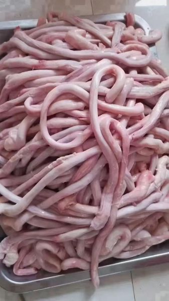 猪鞭图片_猪鞭怎么做好吃-第2张图片-山城妙识