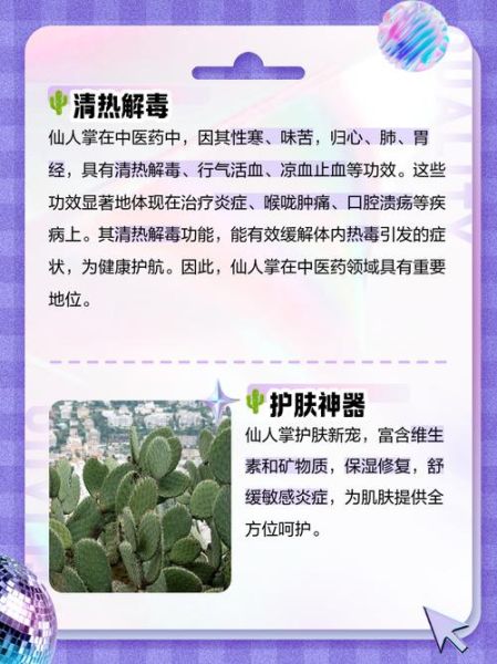 吃仙人掌有什么好处_仙人掌营养价值高吗-第2张图片-山城妙识