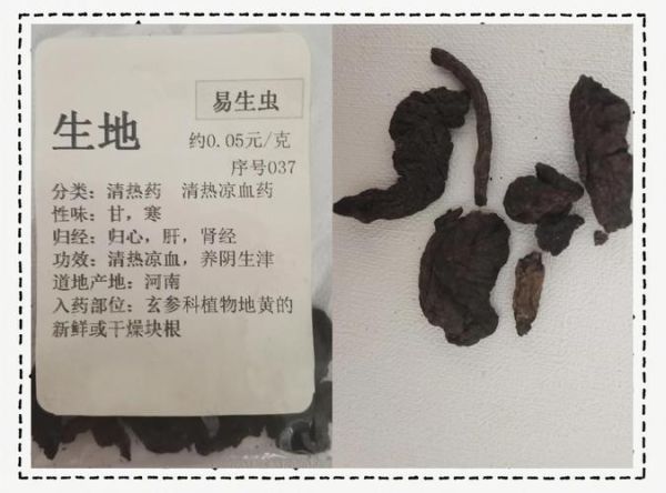 生地与熟地的功效区别_生地和熟地哪个更补血-第2张图片-山城妙识 生地与熟地的功效区别_生地和熟地哪个更补血-第2张图片-山城妙识