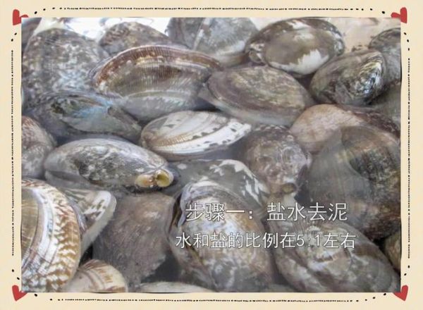 花蛤需要焯水吗_焯水后口感会变差吗-第2张图片-山城妙识 花蛤需要焯水吗_焯水后口感会变差吗-第2张图片-山城妙识