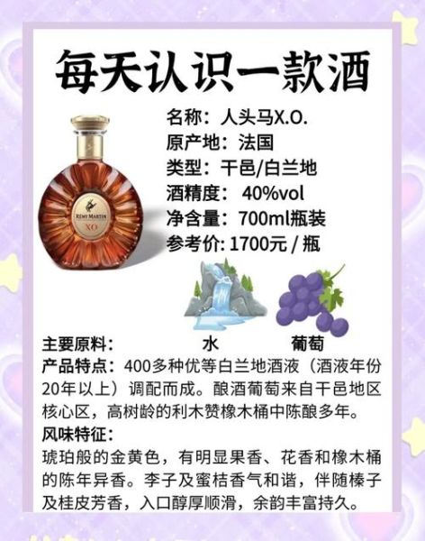 人头马是什么酒_人头马XO价格多少钱一瓶-第3张图片-山城妙识