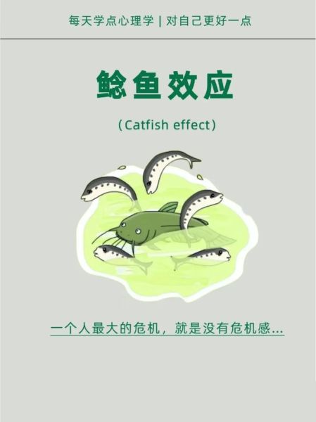 什么是鲢鱼效应_鲢鱼效应的管理原理-第2张图片-山城妙识