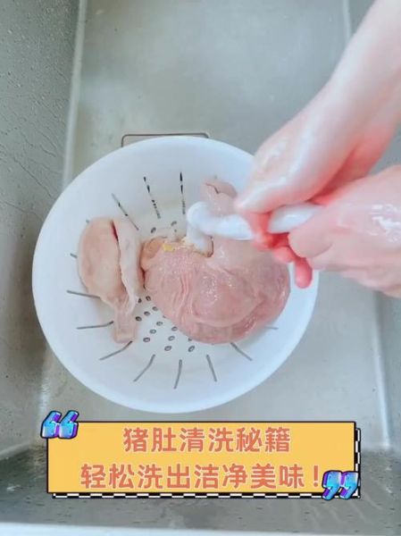 猪肚怎么洗才干净_猪肚清洗妙招-第1张图片-山城妙识