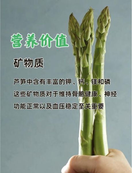 芦笋的营养价值有哪些_芦笋的功效与作用是什么-第1张图片-山城妙识 芦笋的营养价值有哪些_芦笋的功效与作用是什么-第1张图片-山城妙识